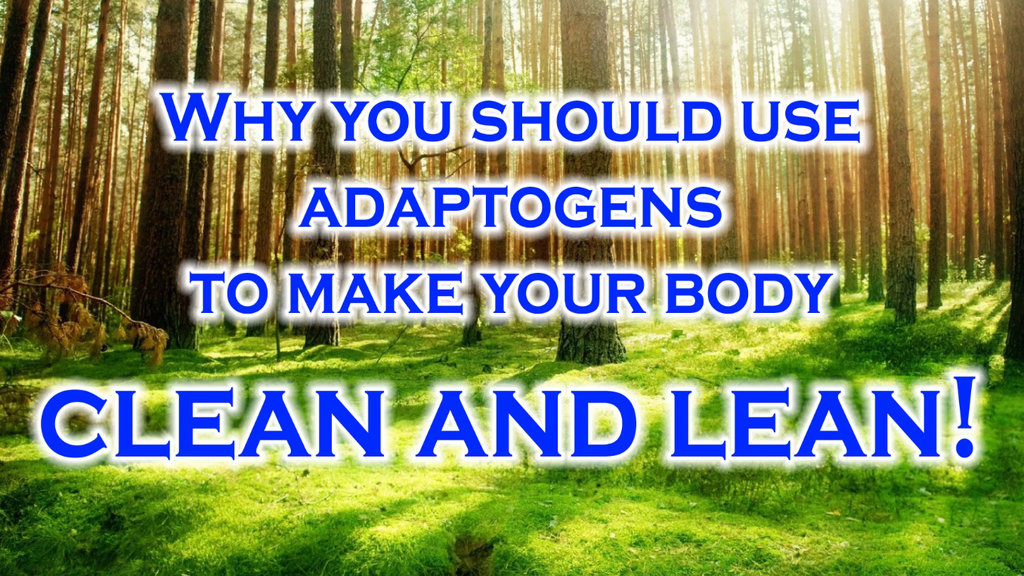 Why you should use adaptogens to make your body clean and lean ...